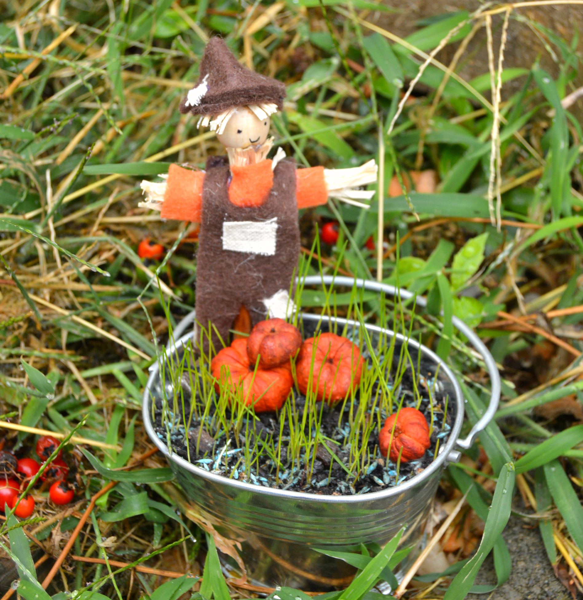 Mini Pumpkin Patch - Amy Latta Creations