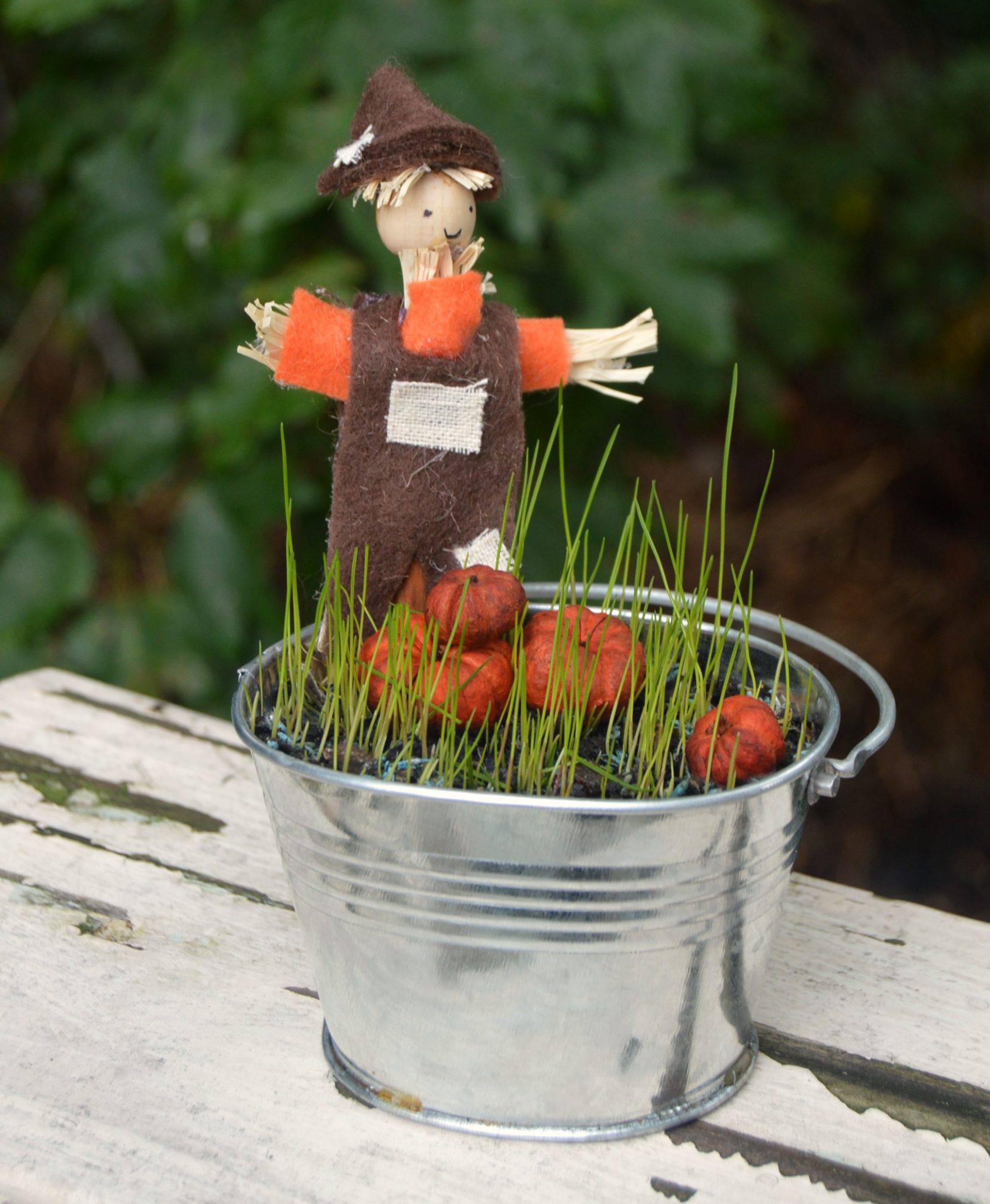 Mini Pumpkin Patch - Amy Latta Creations
