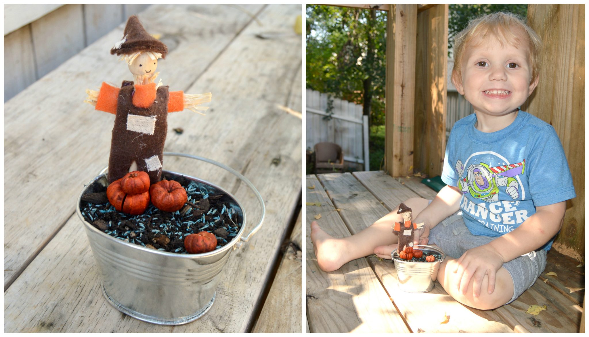 Mini Pumpkin Patch - Amy Latta Creations